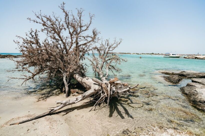 From Rethymno/Kavros: Elafonissi Pink Sand Beach Tour - The Itinerary in Detail