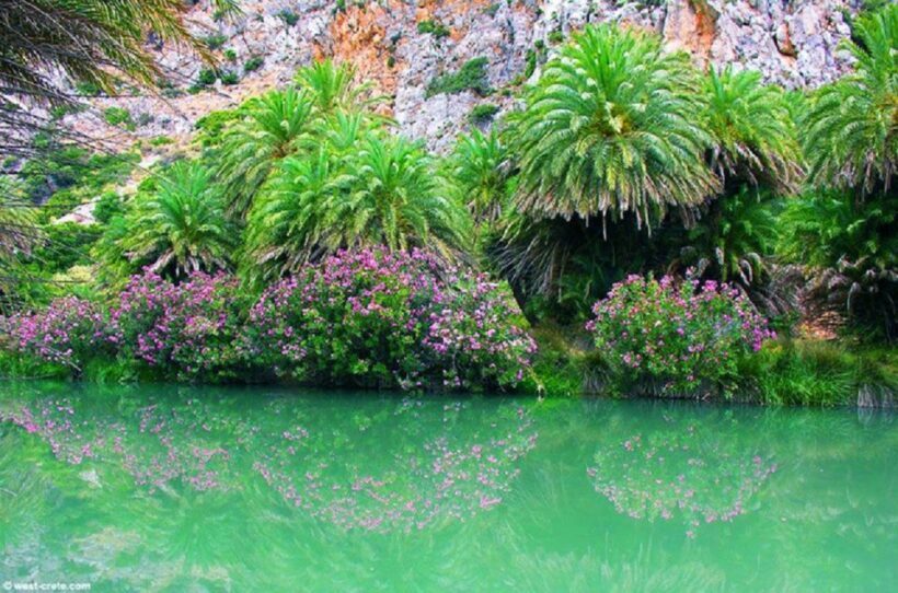 From Rethymno: Preveli Palm Beach and Kourtaliotiko Day Trip - Final Thoughts: Who Will Love This Tour?