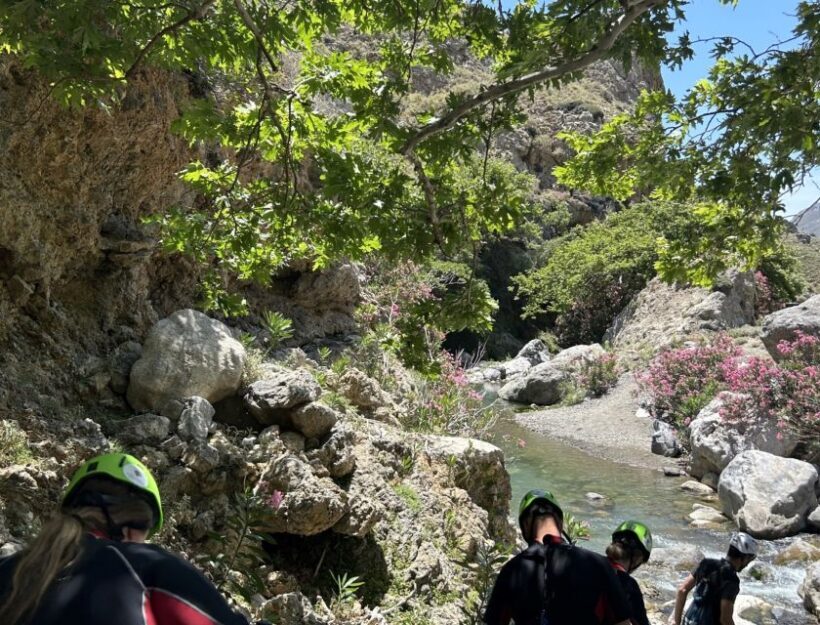 From Rethymno: River Trekking Trip at Kourtaliotiko Gorge - Authentic Feedback from Travelers