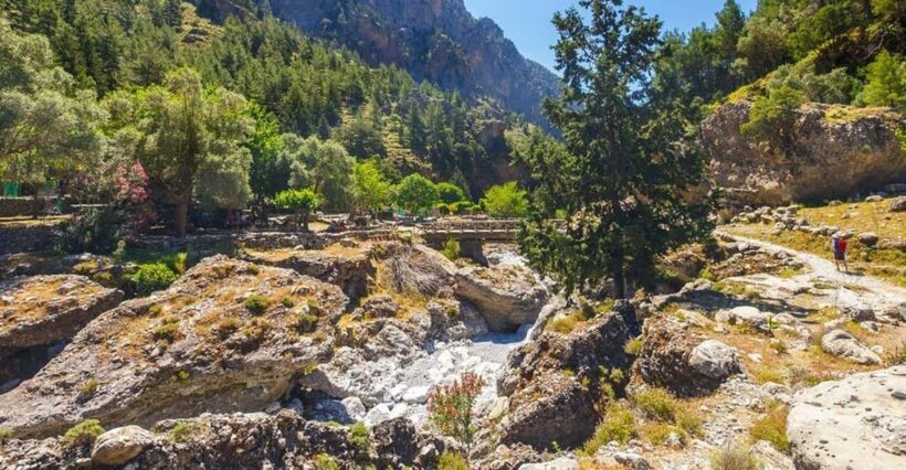 From Rethymno: Samaria gorge with Professional Hiking Guide - An Honest Look at the Samaria Gorge Tour: What You Can Expect