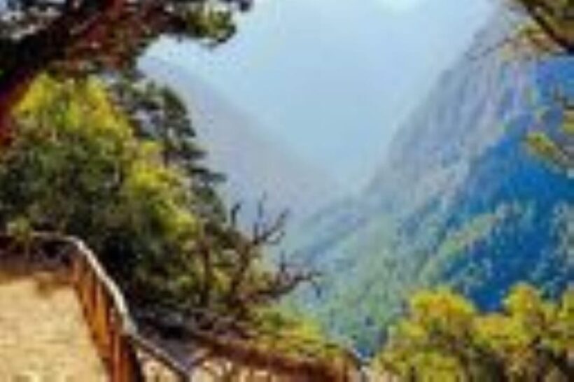 From Rethymno: Samaria gorge with Professional Hiking Guide - Authentic Feedback from Travelers
