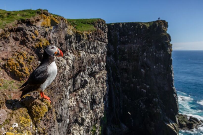 From Reykjavík: 3-Day Tour of the Wild Westfjords - Key Points