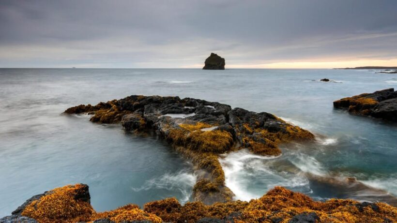 From Reykjavik: Blue Lagoon and Reykjanes Peninsula Tour - FAQ