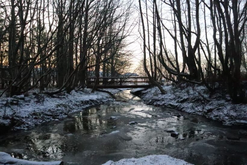 From Reykjavik: Explore the Waterfalls of the South Coast - Value and Price: Is It Worth It?