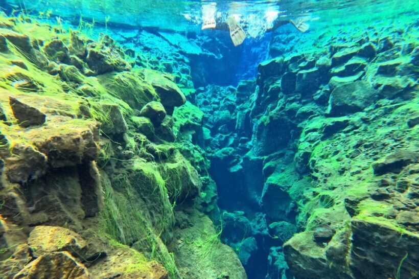From Reykjavík: Golden Circle Tour and Silfra Snorkeling - Practical Aspects: Price and Value