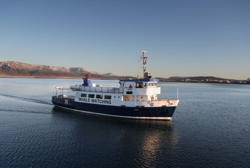 From Reykjavik: New Years Fireworks by Boat - Key Points