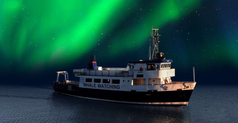From Reykjavik: Northern Lights Sightseeing Cruise - The Experience: A Detailed Look at the Northern Lights Cruise