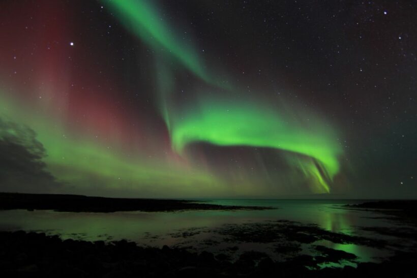 From Reykjavik: Northern Lights Tour - Authenticity and Real Experiences