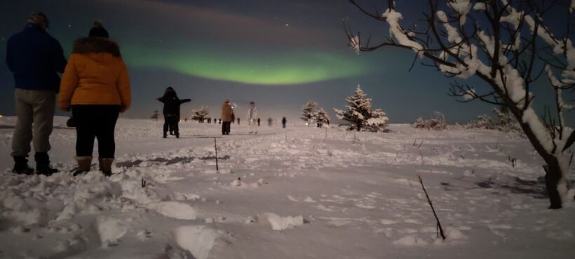 From Reykjavik: Northern Lights Tour - What to Expect From This Northern Lights Tour