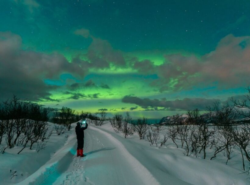 From Reykjavik: Northern Lights Tour - Who Should Consider This Tour?