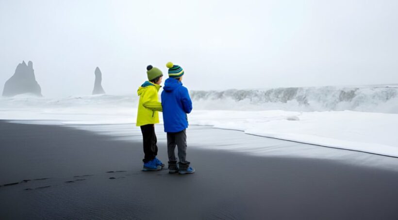 From Reykjavik: Private South Coast Tour in Iceland - Key Points