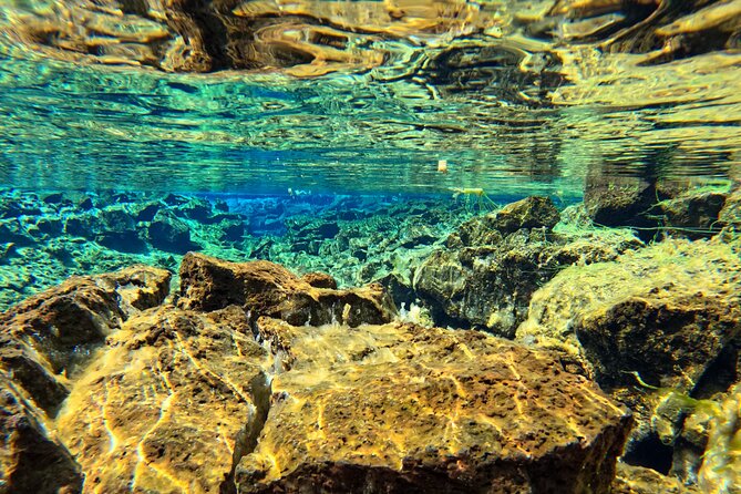From Reykjavik- Silfra Snorkeling Transfer Included - Pricing and Reviews
