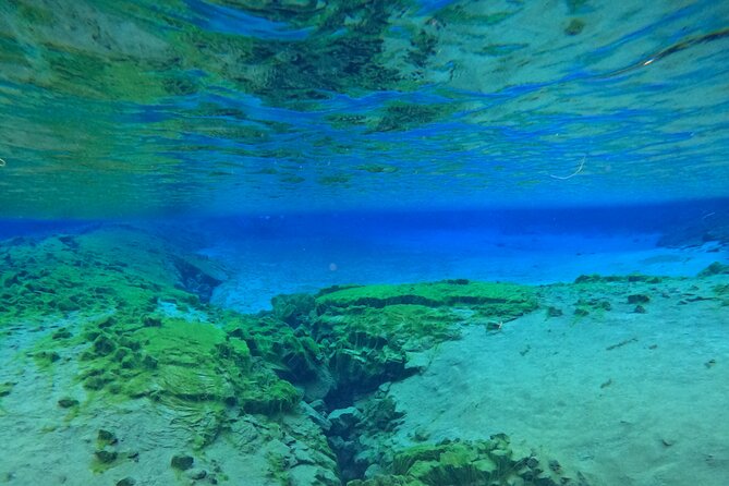 From Reykjavik- Silfra Snorkeling Transfer Included - Snorkeling in Silfra, Thingvellir National Park