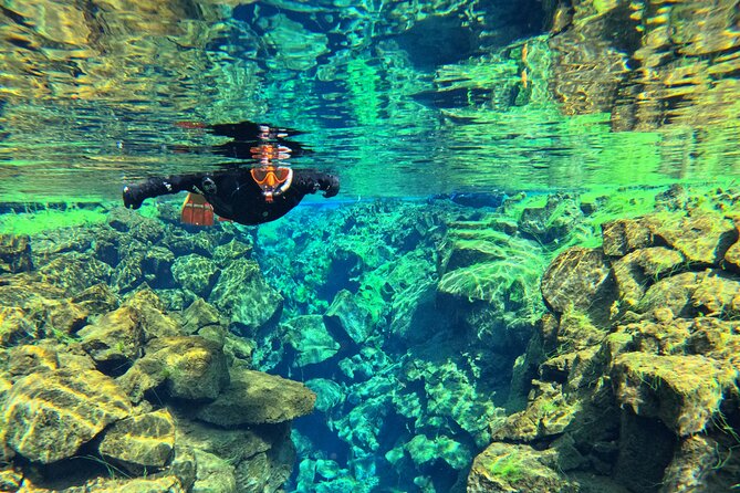 From Reykjavik- Silfra Snorkeling Transfer Included - Small-group Experience