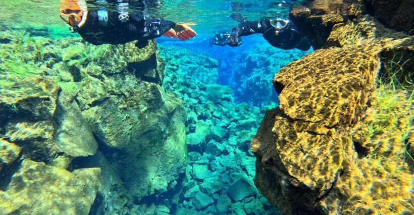 From Reykjavík: Silfra Snorkeling with free photos - The Experience for Different Travelers