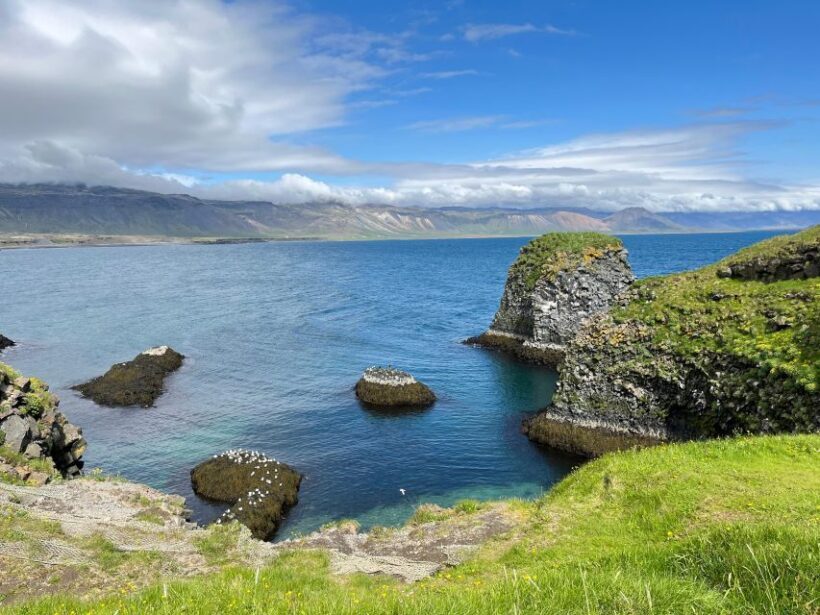 From Reykjavik: Snæfellsnes Full-Day Tour with Homemade Meal - Diving into the Details: What to Expect on the Snæfellsnes Full-Day Tour