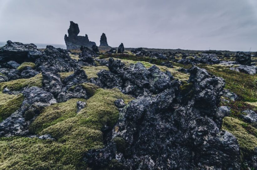 From Reykjavik: Snæfellsnes Full-Day Tour with Homemade Meal - FAQ