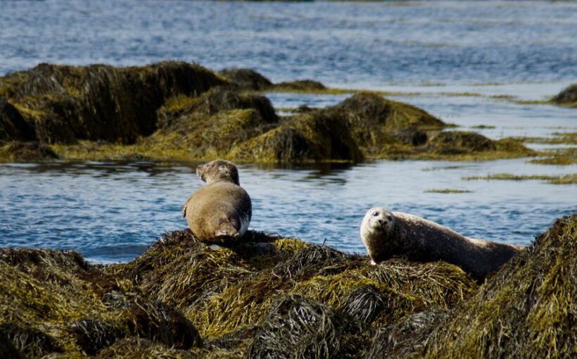 From Reykjavik: Snaefellsnes National Park - Small Group - Exploring Snæfellsnes National Park: A Deep Dive