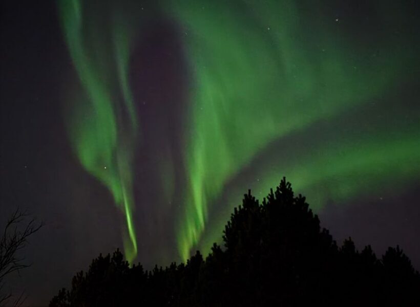 From Reykjavík: Spot the Northern Lights with Snacks & Drink - What Past Travelers Say