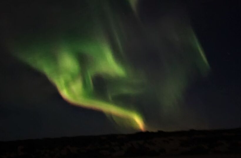 From Reykjavík: Spot the Northern Lights with Snacks & Drink - Who Should Consider This Tour?