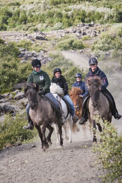 From Reykjavík: Viking Horseback Tour in Hafnarfjörður - The Horses and Guides