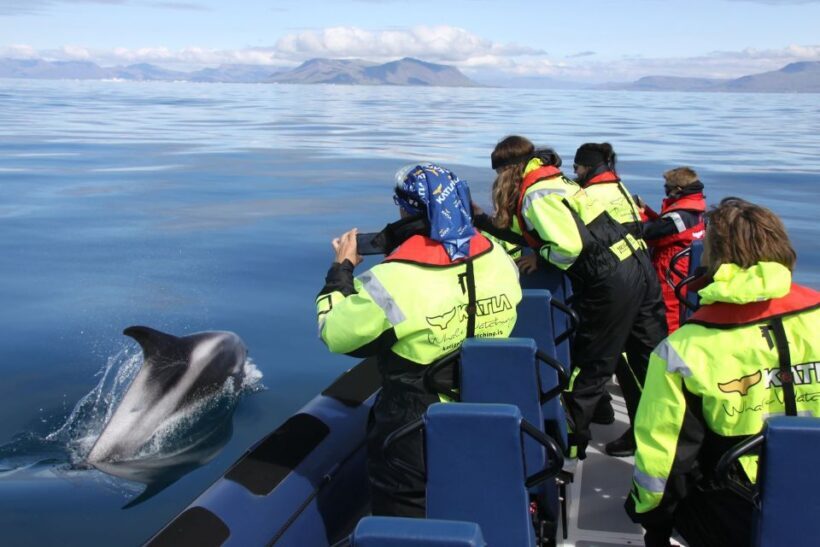 From Reykjavik: Whale Watching Tour by Speedboat - FAQs