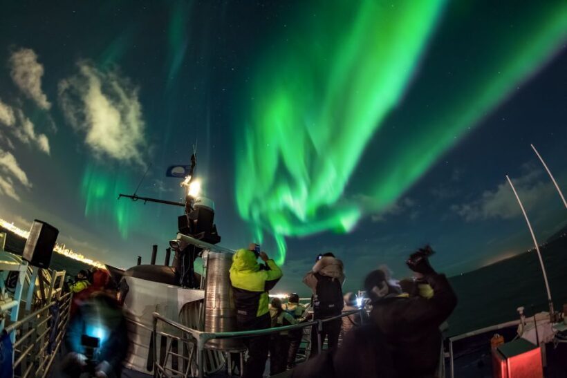 From Reykjavik: Whales and Northern Lights Boat Tour - Frequently Asked Questions