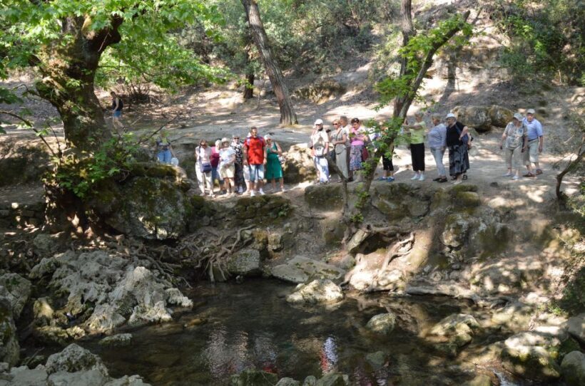 From Rhodes: Bus Tour to Lindos and the Seven Springs - From Rhodes: Bus Tour to Lindos and the Seven Springs – An Honest Look