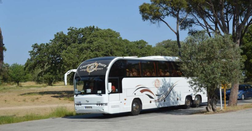 From Rhodes: Bus Tour to Lindos and the Seven Springs - Transportation and Group Dynamics