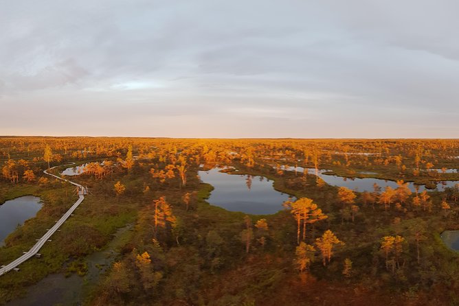 From Riga: Best of Kemeri National Park In One Day - Exploring Kemeri National Park