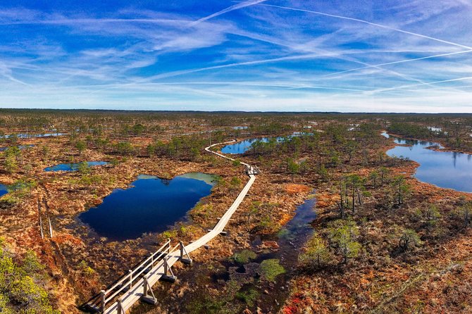 From Riga: Best of Kemeri National Park In One Day - Traversing the Great Kemeri Bog Boardwalk