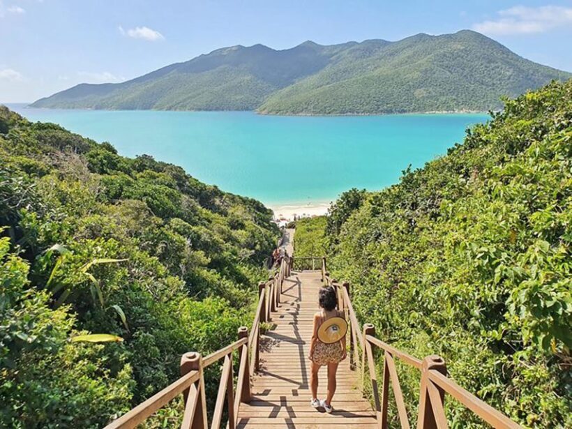From Rio de Janeiro: Arraial do Cabo Island Day Trip - Marine Life and Snorkeling Opportunities