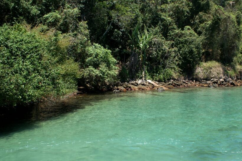 From Rio: Full-Day Angra dos Reis Cruise & Island Tour - The Sum Up: Is This Tour Right for You?