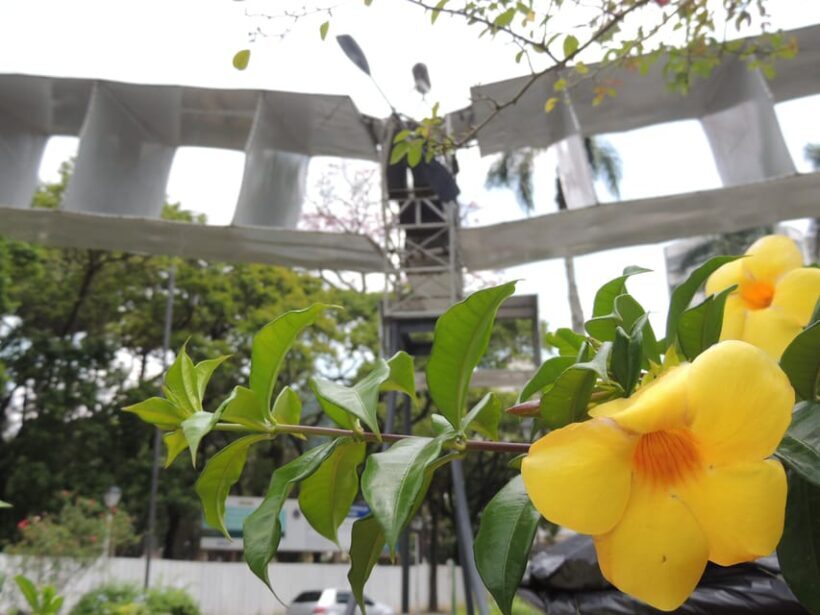 From Rio: Full-Day Tour to The Imperial City of Petrópolis - An In-Depth Look at the Petrópolis Tour