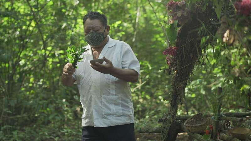 From Riviera Maya: Coba, Punta Laguna & Cenote Guided Trip - Authentic Experiences and Highlights
