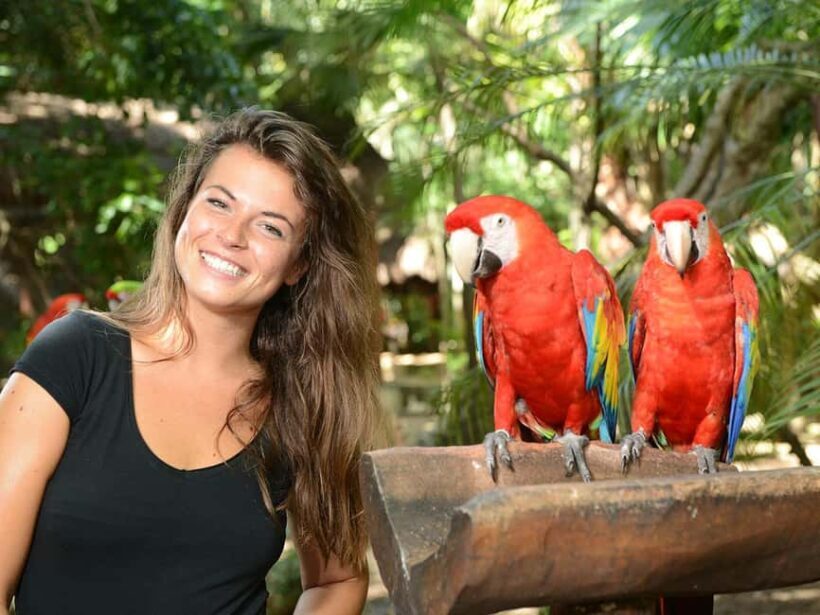 From Riviera Maya: Complete Combo to Xcaret Park! - A Deep Dive into the Itinerary