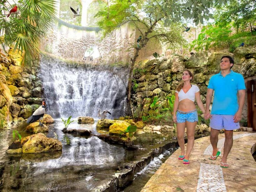 From Riviera Maya: Complete Combo to Xcaret Park! - Who Should Book This Tour?