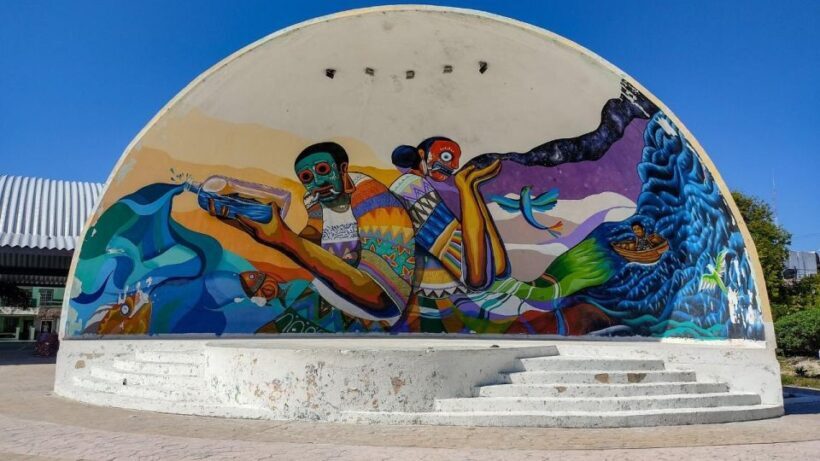 From Riviera Maya: Holbox Full-Day Tour with Lunch - Key Points