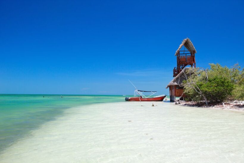 From Riviera Maya: Holbox Full-Day Tour with Lunch - A Practical, Balanced Look at the Holbox Full-Day Tour