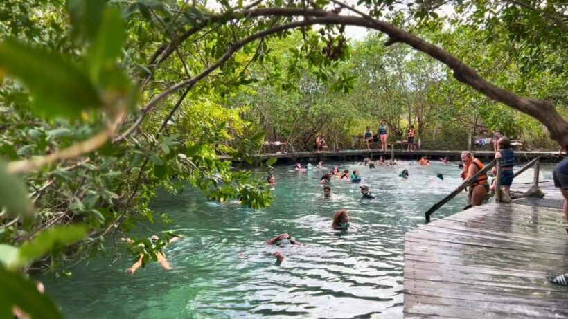 From Riviera Maya: Holbox Full-Day Tour with Lunch - FAQs