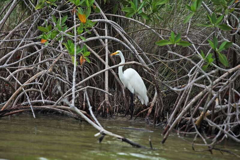 From Riviera Maya: Sian Ka'an Half Day Tour w/ Lunch - Key Points