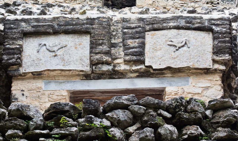 From Riviera Maya : Sian Ka'an Muyil Birdwatching with Guide - Practical Tips for Travelers