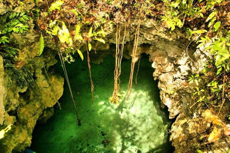 From Riviera Maya: Snorkeling & Private Cenote Half-Day Tour - An Authentic Day of Adventure in Quintana Roo