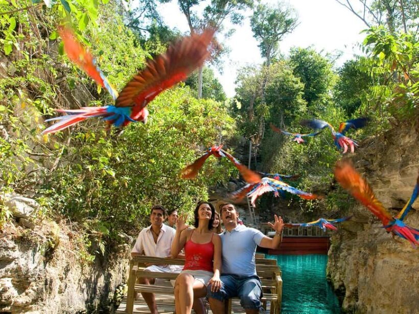 From Riviera Maya: Xcaret Park All-Inclusive - Final Thoughts