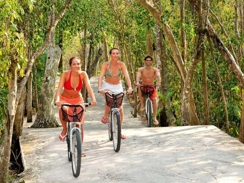 From Riviera Maya: Xel-Há All-Inclusive Park - Who Should Consider This Tour?