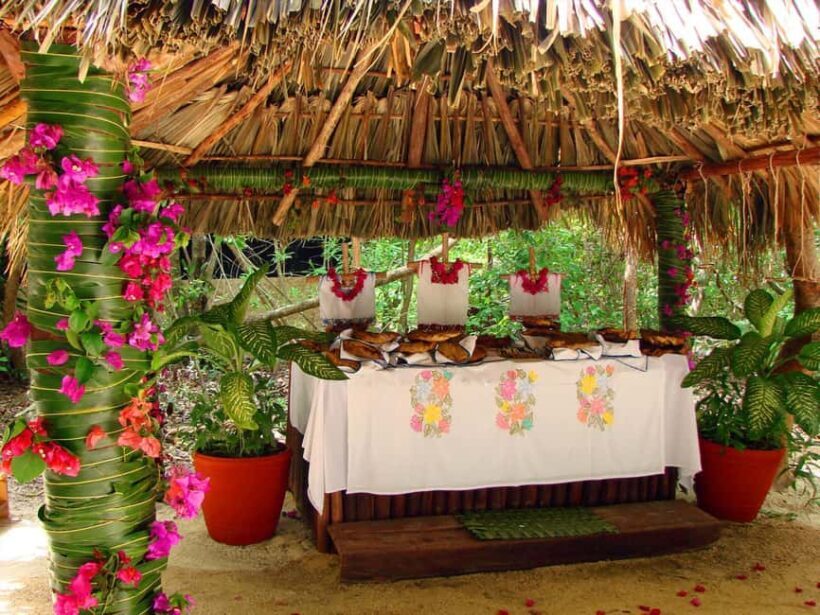 From Riviera Maya: Xel-Há All-Inclusive Park - Final Thoughts