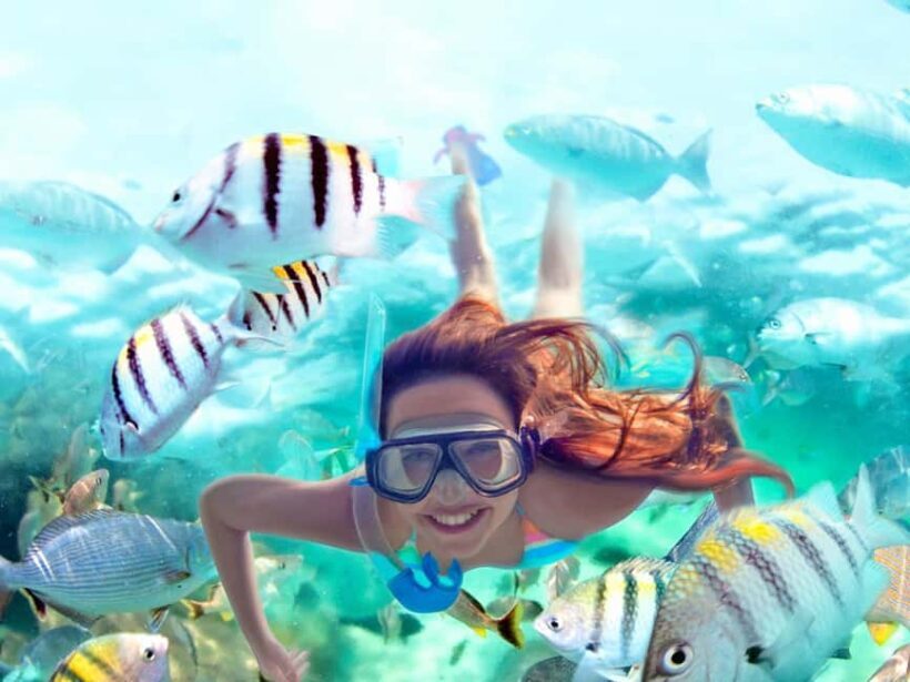 From Riviera Maya: Xel-Há All-Inclusive Park - FAQ