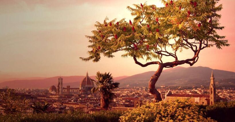 From Rome: Day Trip to Florence by High-Speed Train - The Itinerary in Detail