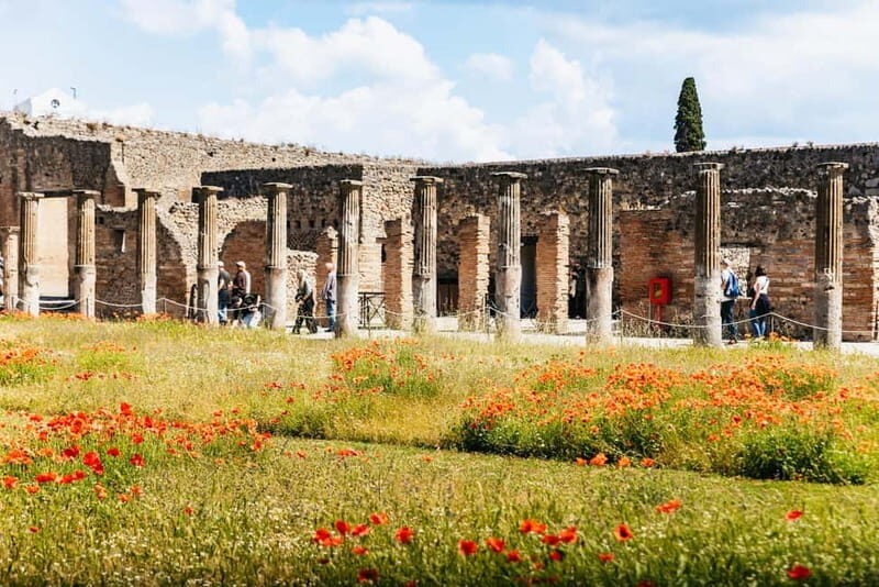 From Rome: Day Trip to Pompeii and Sorrento with Lunch - Scenic Drive and Return to Rome