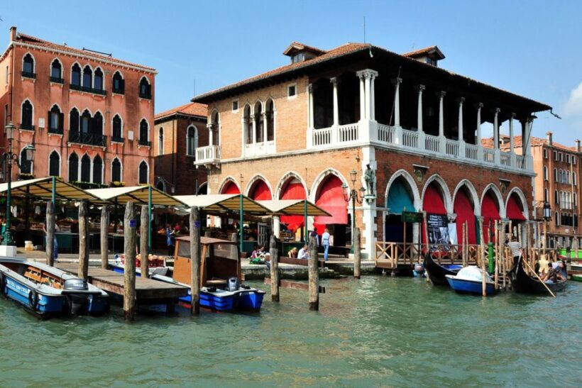 From Rome: Day Trip to Venice by High-Speed Train - An In-Depth Look at the Experience